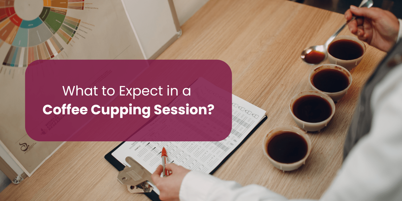 What to Expect in a Coffee Cupping Session? – Something's Brewing